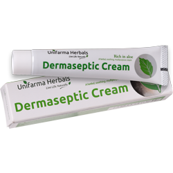 Dermaseptic – comentarios – opiniões – funciona – preço – onde comprar ...