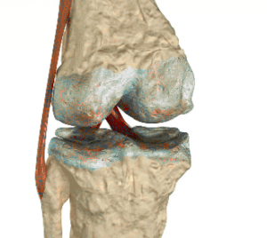 Flexum Gel - comentarios - opiniões - funciona - preço - onde comprar ...